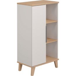 Standregal Paidi, B:120cm H:66cm T:40cm, grau, Wohnzimmer, Regale, "FIENE in Grau mit T&uuml;r und 6 F&auml;chern, 66x120x40cm", stabiles und langlebiges Regal