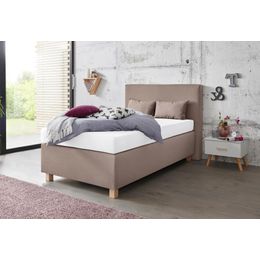 Boxspringbett, beige, Westfalia Schlafkomfort, Komplettbetten, mit Zierkissen