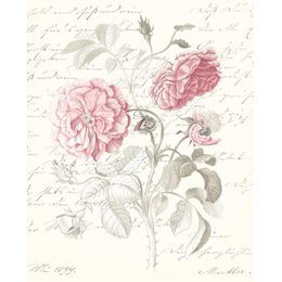 Bild Komar, B:40cm H:50cm, rot, Holz, Papier, Wohnzimmer, Bilder, "Po&egrave;me Rose", Wandbild zur Dekoration - ohne Rahmen