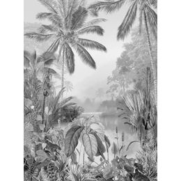 Komar Vliestapete "Digitaldruck Vlies - Lac Tropical Black & White - Größe 200 x 270 cm", B/L: 200mm x 270mm, Rollen:, schwarz, Tapeten, Wohnzimmer,