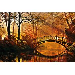 papermoon Fototapete "Misty Park Bridge", B/L: 5m x 2,8m, Bahnen: 10 Stk., bunt, Tapeten