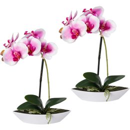 Kunstorchidee Creativ green, B:6,5cm H:30cm L:19,5cm, lila, Kunststoff, Kunstpflanzen, "Phalaenopsis", 2er Set, in Kunststoffschale