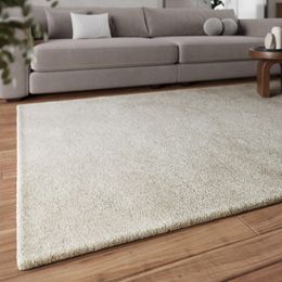 Teppich HOMIE LIVING, B:80cm H:25mm L:150cmhellgrau creme, Polyester, Wohnzimmer, Teppiche, "Pisa", Hochflor, Microfaser, uni, weich, Shaggy,