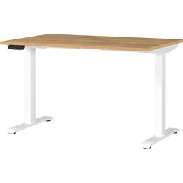 Schreibtisch Germania, B:120cm H:72cm T:80cm, beige, B&uuml;ro, Tische, "Jet, elektrisch h&ouml;henverstellbar", moderne Farbvariationen, Breite