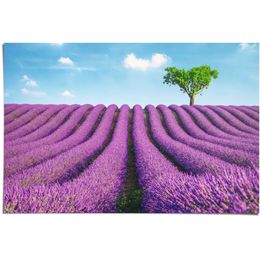 Poster Reinders, B:91,5cm H:61cm, lila, Papier, Bilder, "Lavendel Felder"