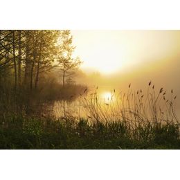papermoon Fototapete "Stunning Foggy Landscape", B/L: 5m x 2,8m, Bahnen: 10 Stk., bunt, Tapeten