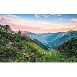 Komar Vliestapete "Digitaldruck Vlies - Alps - Gr&ouml;&szlig;e 400 x 250 cm", B/L: 400mm x 250mm, Rollen:, bunt, Tapeten, Wohnzimmer, Schlafzimmer