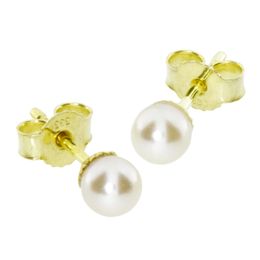 OSTSEE-SCHMUCK Damen Paar Ohrstecker "- Klassisch 5 mm - Gold 333/000 - Wachsperle", Gelbgold 333, gold, Gelbgold 333, Ohrringe