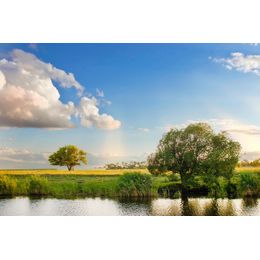 papermoon Fototapete "River Tree Landscape", B/L: 4m x 2,6m, Bahnen: 8 Stk., bunt, Tapeten