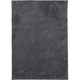 Hochflor-Teppich CarpetFine, B:120cm H:20mm L:170cm, grau, Mikropolyester, Teppiche, "Silky, auch als L&auml;ufer erh&auml;ltlich", Shaggy, Langflor, uni,