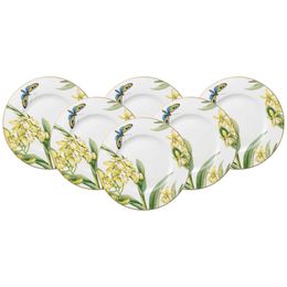 Villeroy & Boch VILLEROY & BOCH Frühstücksteller "Frühstücksteller Amazonia Anmut ø 22,5 cm 6er Set bunt", bunt, Speiseteller