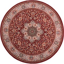 Wollteppich Theko, B:200cm H:10mm L:200cm &Oslash;:200cm, rot, Schurwolle, Wohnzimmer, Teppiche, "Dolna - 859", Kurzflor, reine Wolle, Orient-Optik