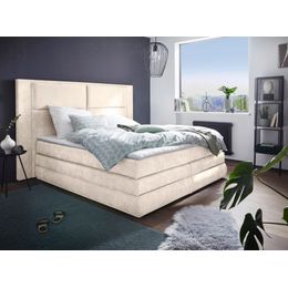 Boxspringbett Collection AB, B:231cm L:215cm, beige, Holzwerkstoff, Spanplatte, Komplettbetten, "Copenhagen", inklusive Bettkasten, Topper, wahlweise