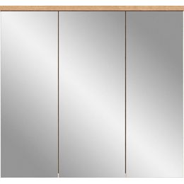 Badezimmerspiegelschrank Welltime, B:80cm H:75cm T:20cm, grau, Schr&auml;nke, "Dolo, Breite 80 cm, 3 Spiegelt&uuml;ren, 9 F&auml;cher, 6 Einlegeb&ouml;den", Badm&ouml;bel,