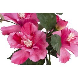 Kunstblume BOTANIC-HAUS, B:20cm H:27cm T:20cm &Oslash;:20cm, pink, Kunststoff, Kunstpflanzen, "Hibiskus im Topf"