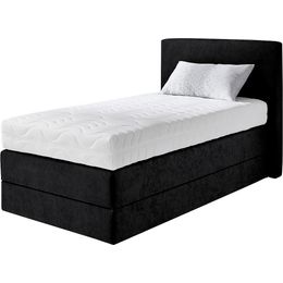 Boxspringbett, B:115cm L:205cm, schwarz, Westfalia Schlafkomfort, Microvelours (100% Polyester), Komplettbetten, wahlweise mit Kaltschaum-Topper