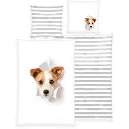Herding's Young Collection Bettw&auml;sche, bunt, HERDING YOUNG COLLECTION, Renforc&eacute;, Obermaterial: 100% Baumwolle, Jugendzimmer, Bettw&auml;sche, "YC Hund", mit tollem Motiv