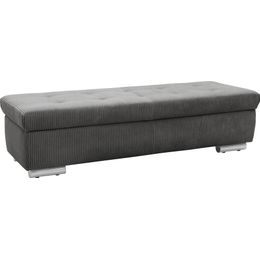 Hocker DOMO collection, B:161cm H:41cm T:60cm, grau, 100% Polyester, Wohnzimmer, Hocker, "Treviso XXL: B/T/H: 161/60/41 cm", mit Stauraum, auch in