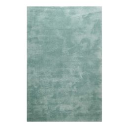 Teppich HOMIE LIVING, B:80cm H:25mm L:150cm, gr&uuml;n, Polyester, Wohnzimmer, Teppiche, "Pisa", Hochflor, Microfaser, uni, weich, Shaggy, Wohnzimmer,