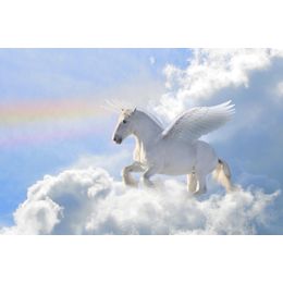 papermoon Fototapete "Pegasus in the Clouds", B/L: 4m x 2,6m, Bahnen: 8 Stk., bunt, Tapeten