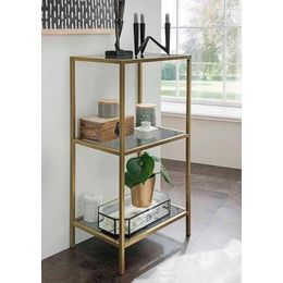 Regal PAROLI, B:50cm H:93cm T:36cm, gold, Wohnzimmer, Regale, "Regal", Grauglas