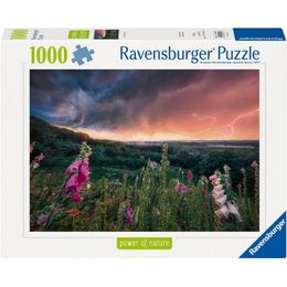 Ravensburger Kinder Puzzle "power of nature, Ein Sturm zieht auf", bunt, B:70cm H:50cm, Puzzles, Made in Germany