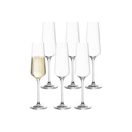 Leonardo Sektglas "Sektgl&auml;ser Puccini 280 ml 6er Set transparent", transparent, Trinkgef&auml;&szlig;e
