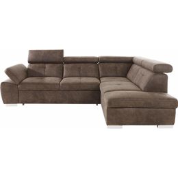 Ecksofa, B:274cm H:81cm T:206cm, braun, exxpo - SOFA FASHION, NaturLEDER (echtes Rindsleder) in Sitz und R&uuml;cken. Korpus in passendem Kunstleder