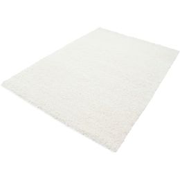Hochflor-Teppich, B:240cm H:30mm L:340cm, beige, Ayyildiz Teppiche, Kunstfaser, Teppiche, "Life Shaggy 1500", Langflor, uni, gro&szlig;e Farbauswahl,