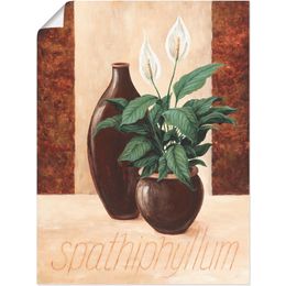 Poster Artland, B:30cm H:40cm, beige, Papier, Küche, Bilder, "Spathiphyllum - Einblatt", als Alubild, Leinwandbild, Wandaufkleber oder Poster in