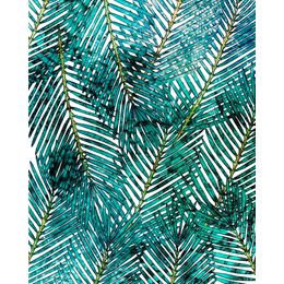 Komar Vliestapete "Digitaldruck Vlies - Palm Canopy - Gr&ouml;&szlig;e 200 x 250 cm", B/L: 200mm x 250mm, Rollen:, bunt, Tapeten, Wohnzimmer, Schlafzimmer