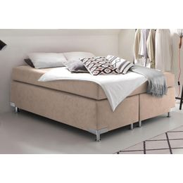 Boxspringbett, B:142cm L:201cm, beige, Westfalia Schlafkomfort, Microvelours (100% Polyester), Komplettbetten, "Holland", ohne Kopfteil, frei im Raum
