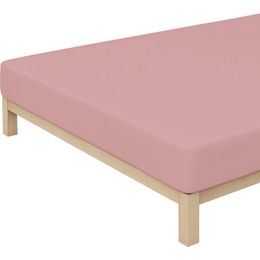 Spannbettlaken Schlafgut, lila, Mako-Zwirn-Jersey, Obermaterial: 95% Baumwolle, 5% Elasthan, Bettlaken, "Premium", Zero Waste Verpackung, PREMIUM