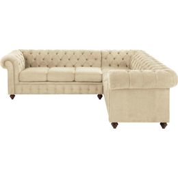 Chesterfield-Sofa Home Affaire, B:255cm H:74cm T:214cm, beige, Samtoptik (100% Polyester);Samtoptik (100% Polyester);Luxus-Microfaser Lederoptik