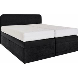 Boxspringbett, B:195cm L:212cm, schwarz, Westfalia Schlafkomfort, Box und Kopfteil: Microvelours (100% Polyester) oder Kunstleder (Polyurethan);Bezug