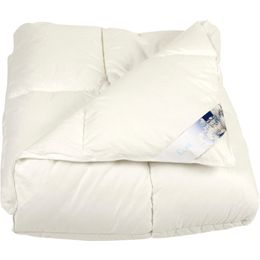 Kunstfaserbettdecke Polydaun, B:200cm L:220cm, wei&szlig;, Bezug: 100% Baumwolle. F&uuml;llung: 100% Polyester, Bettdecken, "ELKE"
