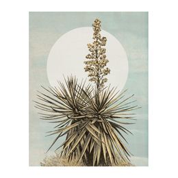Bild Komar, B:40cm H:50cm, bunt, Holz, Papier, Wohnzimmer, Bilder, "Plans de Lagon", Wandbild zur Dekoration - ohne Rahmen
