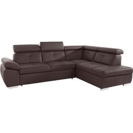 Ecksofa, B:274cm H:81cm T:206cm, braun, exxpo - SOFA FASHION, NaturLEDER (echtes Rindsleder) in Sitz und R&uuml;cken. Korpus in passendem Kunstleder