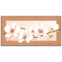 Wandbild Artland, B:100cm H:50cm, beige, Wohnzimmer, Bilder, "Orchideenzweig", als Alubild, Leinwandbild in verschied. Gr&ouml;&szlig;en