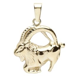 OSTSEE-SCHMUCK Damen Kettenanh&auml;nger "OSTSEE-SCHMUCK Anh&auml;nger Tierkreiszeichen Steinbock", 25 x 18mm, Gelbgold 585, 2 g, gelb, Gelbgold 585,