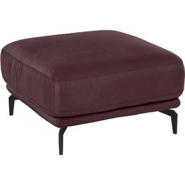 Hocker W.Schillig, B:71cm H:42cm T:71cm, braun, Wohnzimmer, Hocker, "montanaa", mit Metallf&uuml;&szlig;en in Schwarz pulverbeschichtet, Breite 71 cm