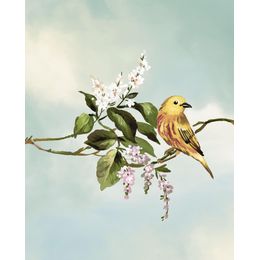 Bild Komar, B:40cm H:50cm, bunt, Holz, Papier, Wohnzimmer, Bilder, "Gazouillis des Oiseaux", Wandbild zur Dekoration - ohne Rahmen