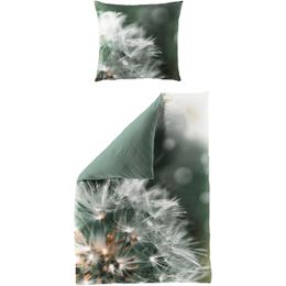 Bettw&auml;sche Bierbaum, gr&uuml;n, Mako-Satin, Obermaterial: 100% Baumwolle, Jugendzimmer, Bettw&auml;sche, "5084", Mako-Satin, 100 % Baumwolle, pflegeleicht;