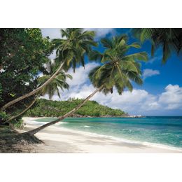 Komar Fototapete "Tropical Sea - Größe 368 x 254 cm", B/L: 3,68mm x 2,54mm, Rollen:, bunt, Schlafzimmer, Tapeten, Wohnzimmer, Schlafzimmer