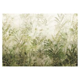 Komar Vliestapete "Digitaldruck Vlies - Wilderness - Gr&ouml;&szlig;e 400 x 280 cm", B/L: 400mm x 280mm, Rollen:, gr&uuml;n, Tapeten, Wohnzimmer, Schlafzimmer