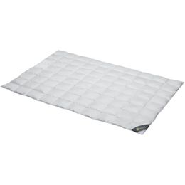 Daunenbettdecke Spessarttraum, B:200cm L:200cm, silber, Bezug: 100% Baumwolle. F&uuml;llung: 100% Daunen, Bettdecken, "Wildente Bettdecken 135x200cm &