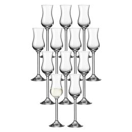 Leonardo Schnapsglas "Grappaglas Daily 100 ml 12er Set transparent", transparent, Trinkgef&auml;&szlig;e