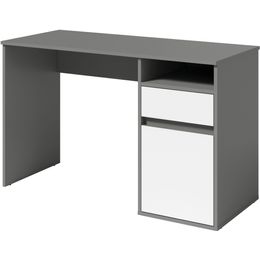 Schreibtisch Home Affaire, B:120cm H:76cm T:53cm, grau, Jugendzimmer, Tische, "Tinsley", mit Schublade, und T&uuml;r, Breite 120 x53 cm