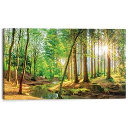 Deco-Panel Reinders, B:118cm H:70cm T:2cm, gr&uuml;n, Bilder, "Sonnenschein im Wald", Hobbyraum - Gr&uuml;n - MDF - Wald - 118x70 cm