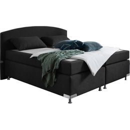 Boxspringbett, B:175cm L:210cm, schwarz, Westfalia Schlafkomfort, Komplettbetten, "Amsterdam in den Breiten 160x200, 180x200cm & 200x200cm"